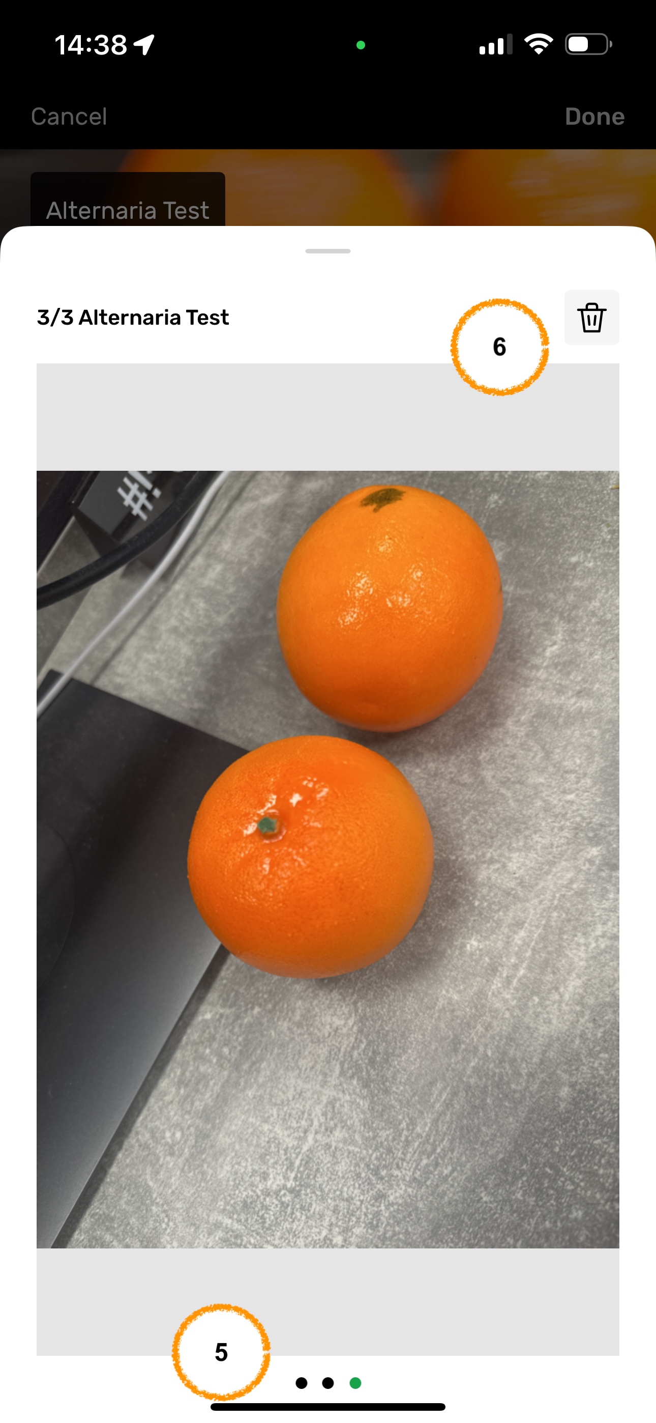 Multiple Photos for a Single Defect (Mobile App) – Clarifresh Help Center